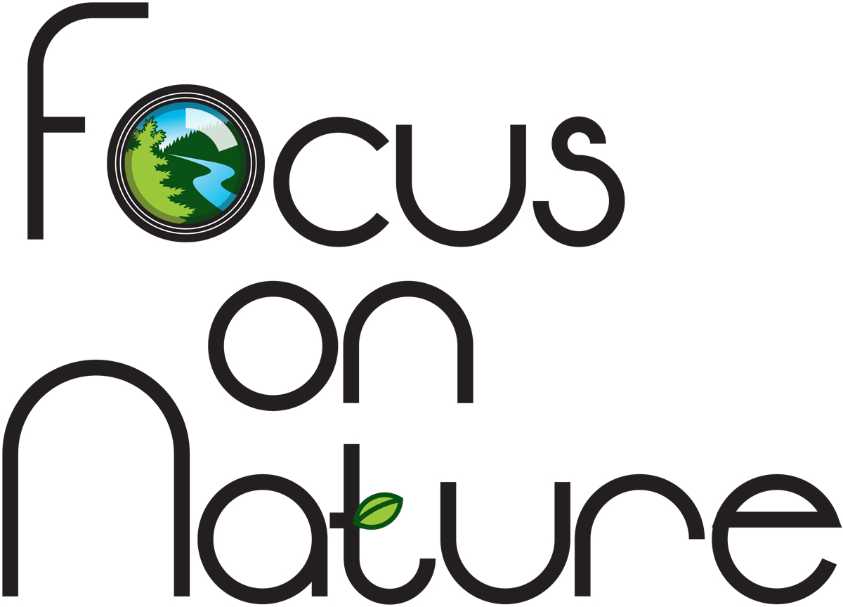 Focusing on Nature: Photography in the Natural World - Guelph Museums